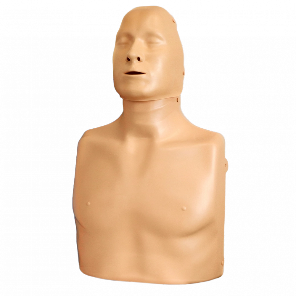 Manichino BLS 2-in-1 Practi-Man Basic - Light